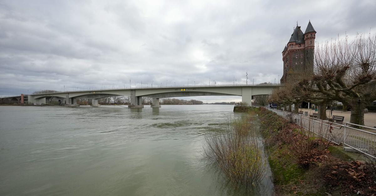 Der Rheinpegel steigt – das ist die Lage in Rheinhessen